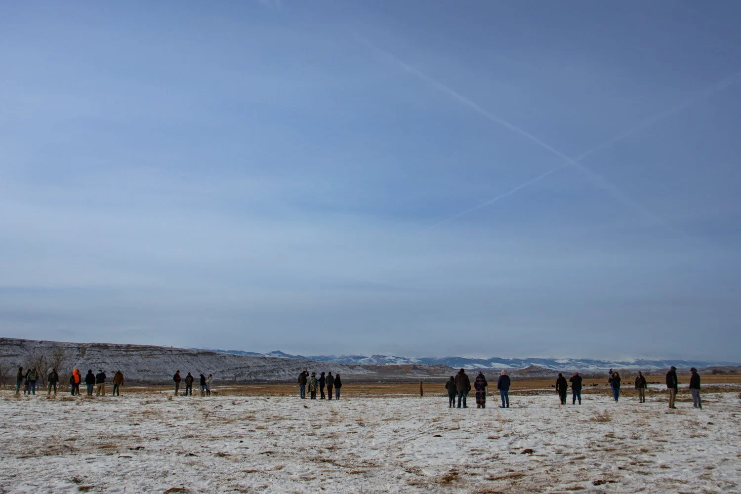 Eastern Shoshone Tribal Buffalo Herd welcomes 10 new buffalo home ...