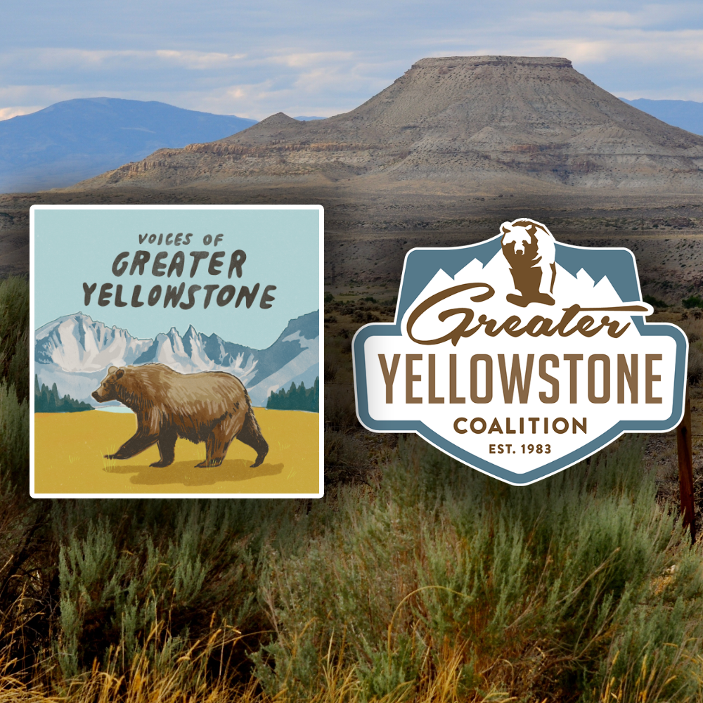 Wes Martel — Greater Yellowstone Coalition