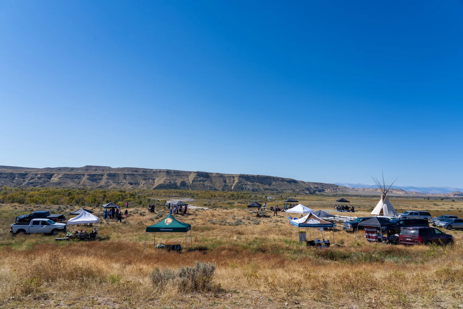 Lessons among the buffalo: Connecting youth, Elders, and land at the ...