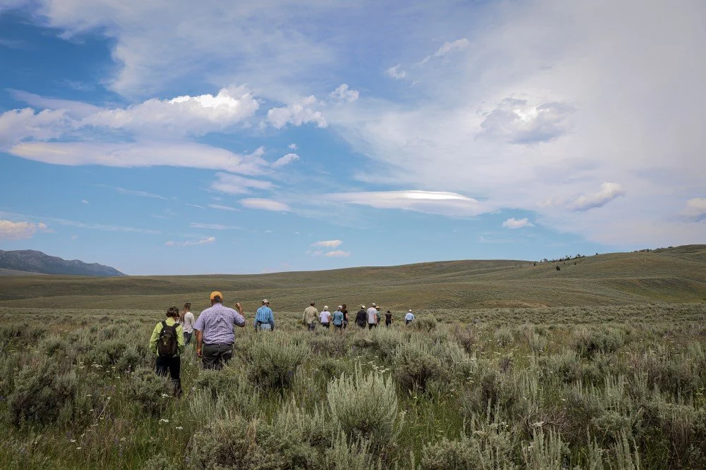 Preventing Wildlife Conflicts — Greater Yellowstone Coalition