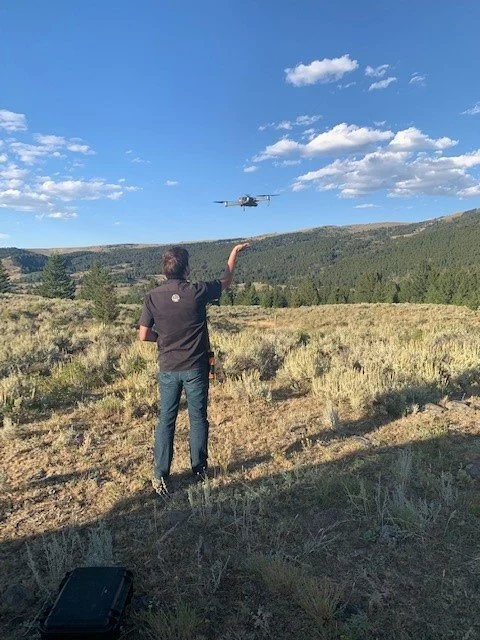 Grizzly bear coexistence work reaches new heights in the Gravelly Range ...