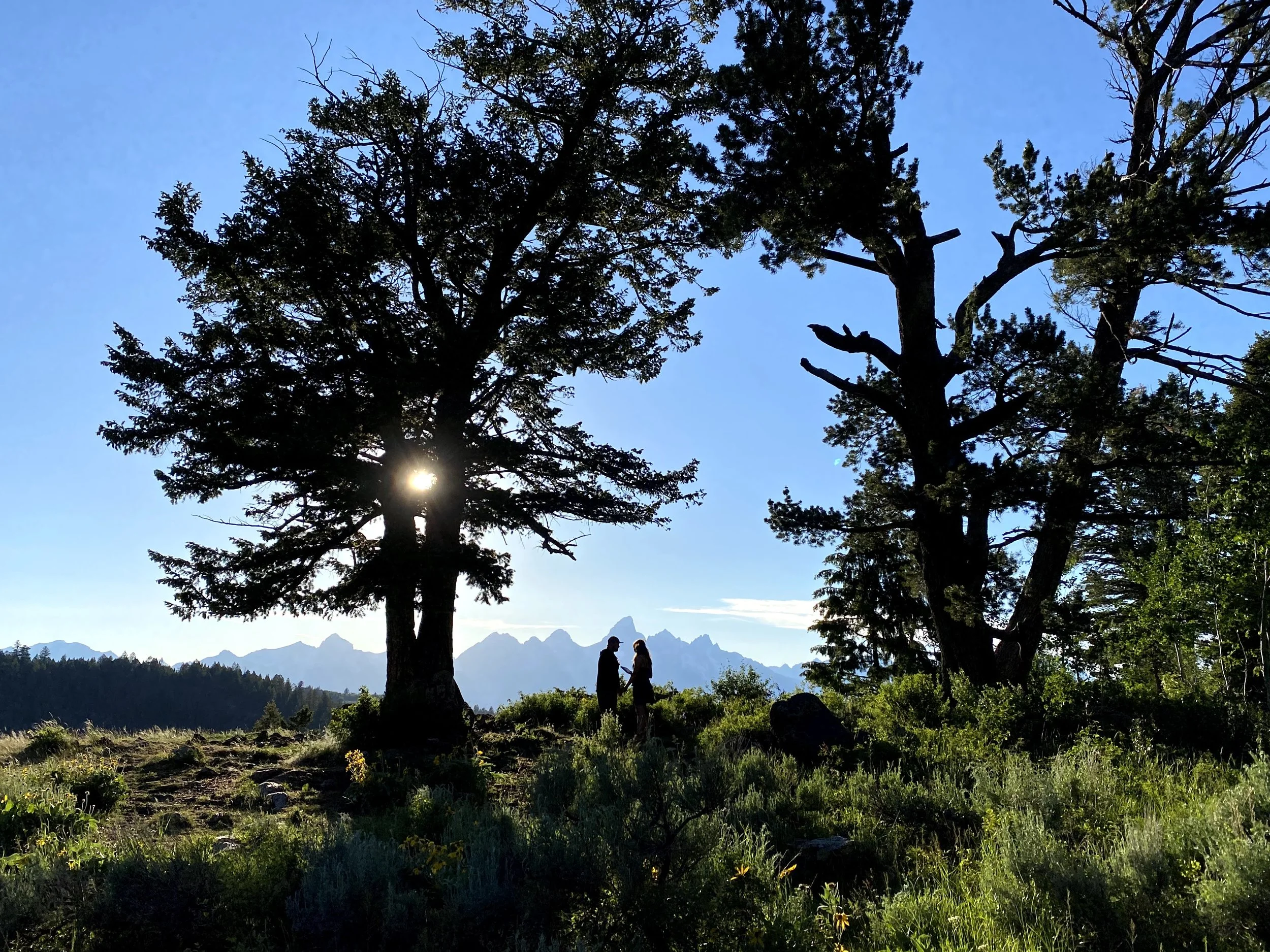 Migrations, Not Mansions: Speaking up for the iconic Kelly Parcel ...