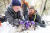Episode 23 | Studying Yellowstone’s Iconic Wolves — Greater Yellowstone ...