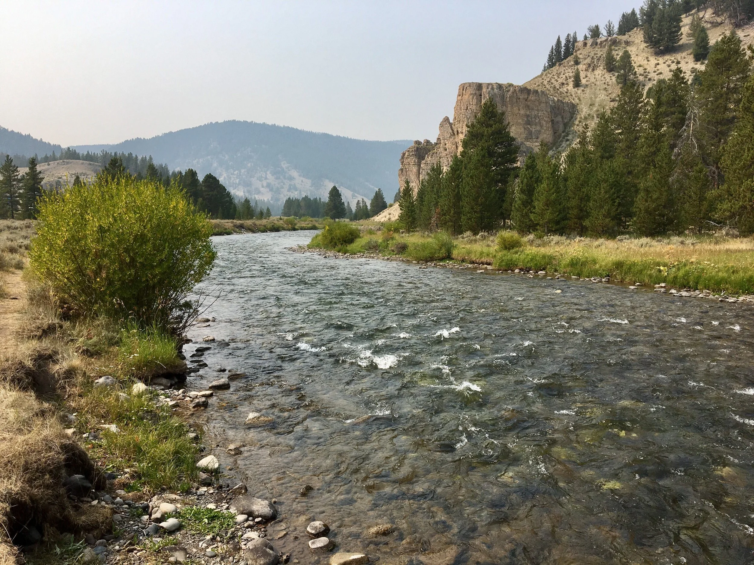 Fighting for healthy rivers: Over 2,700 comments sent on behalf of the ...