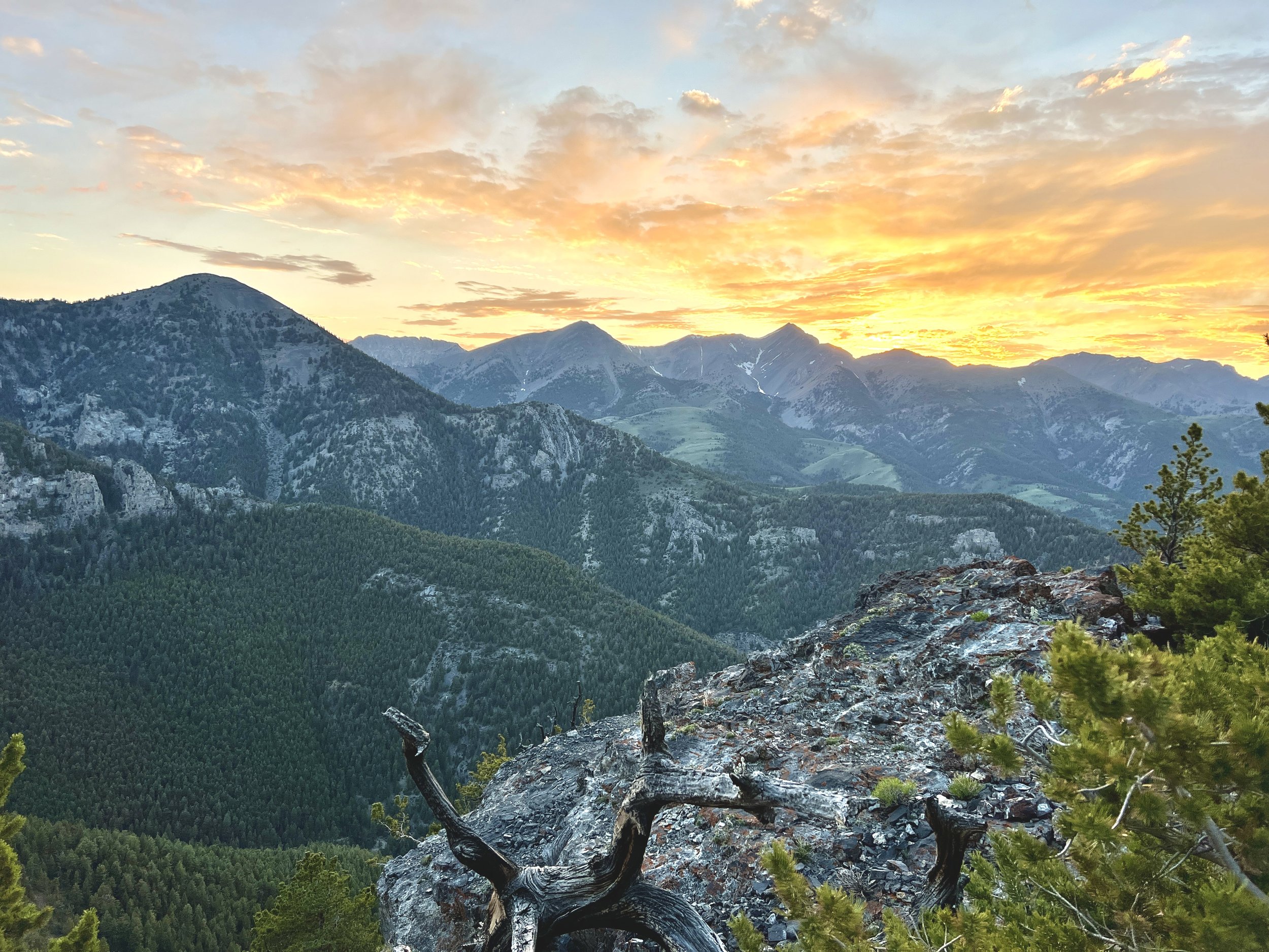 Stories from the field: Searching for Wilderness in Idaho’s High Divide ...