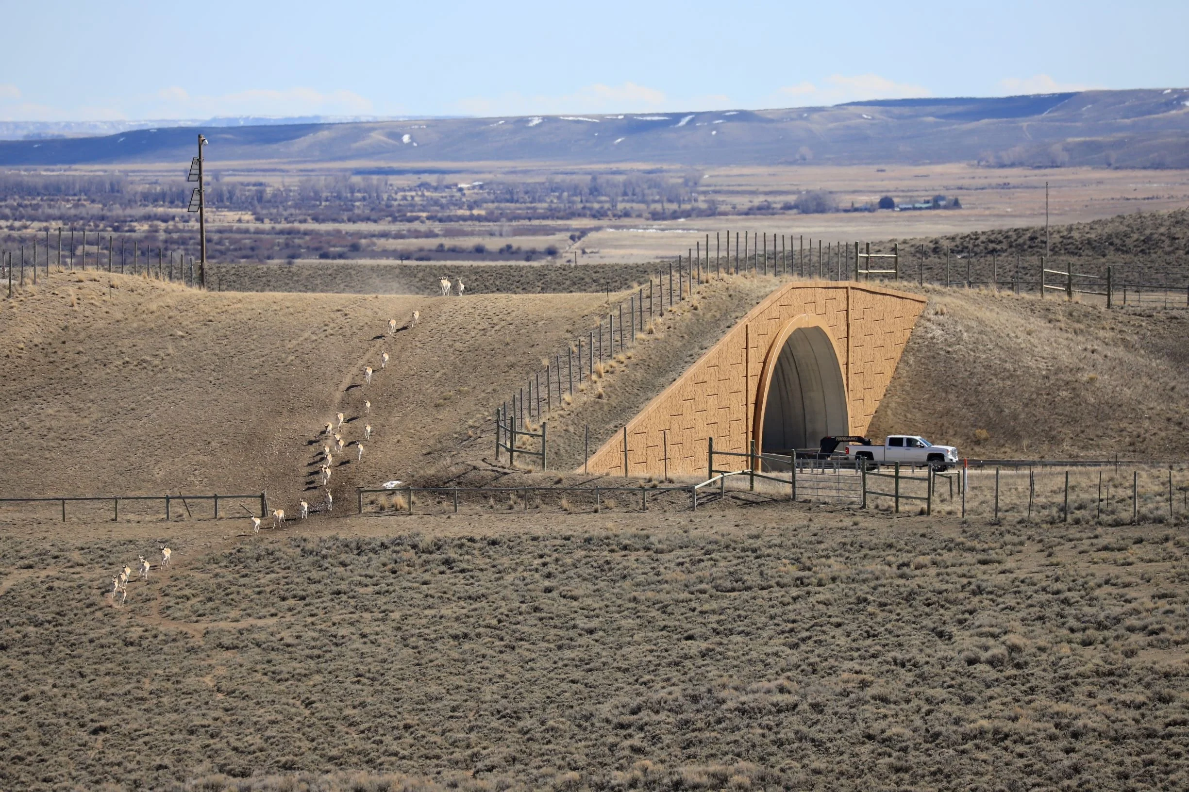Preserving Wildlife Migration & Movement in Greater Yellowstone ...