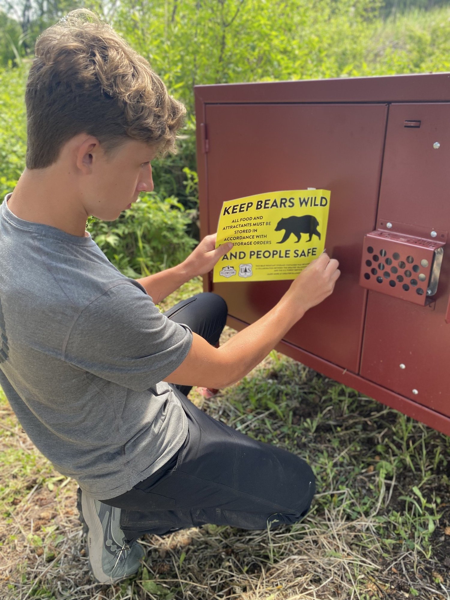 Installing Bear Bins in Greater Yellowstone to Help Keep People Safe ...