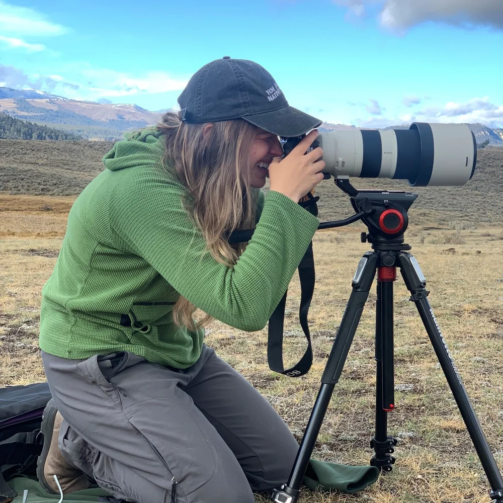 Emmy Reed — Greater Yellowstone Coalition