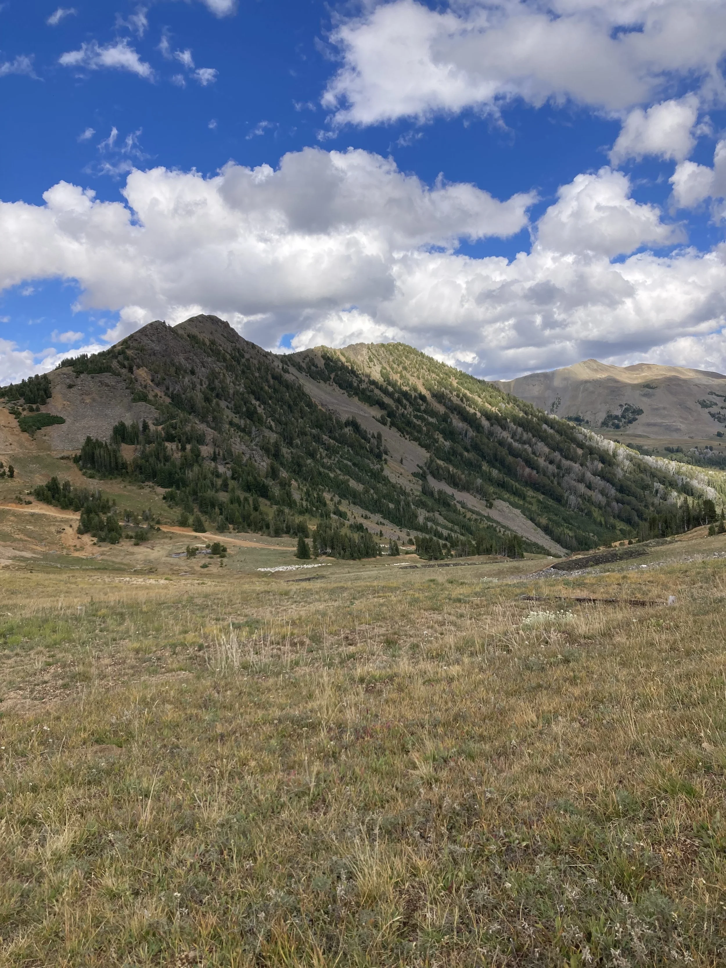 GYC and U.S. Forest Service partnership turns former mining claims ...