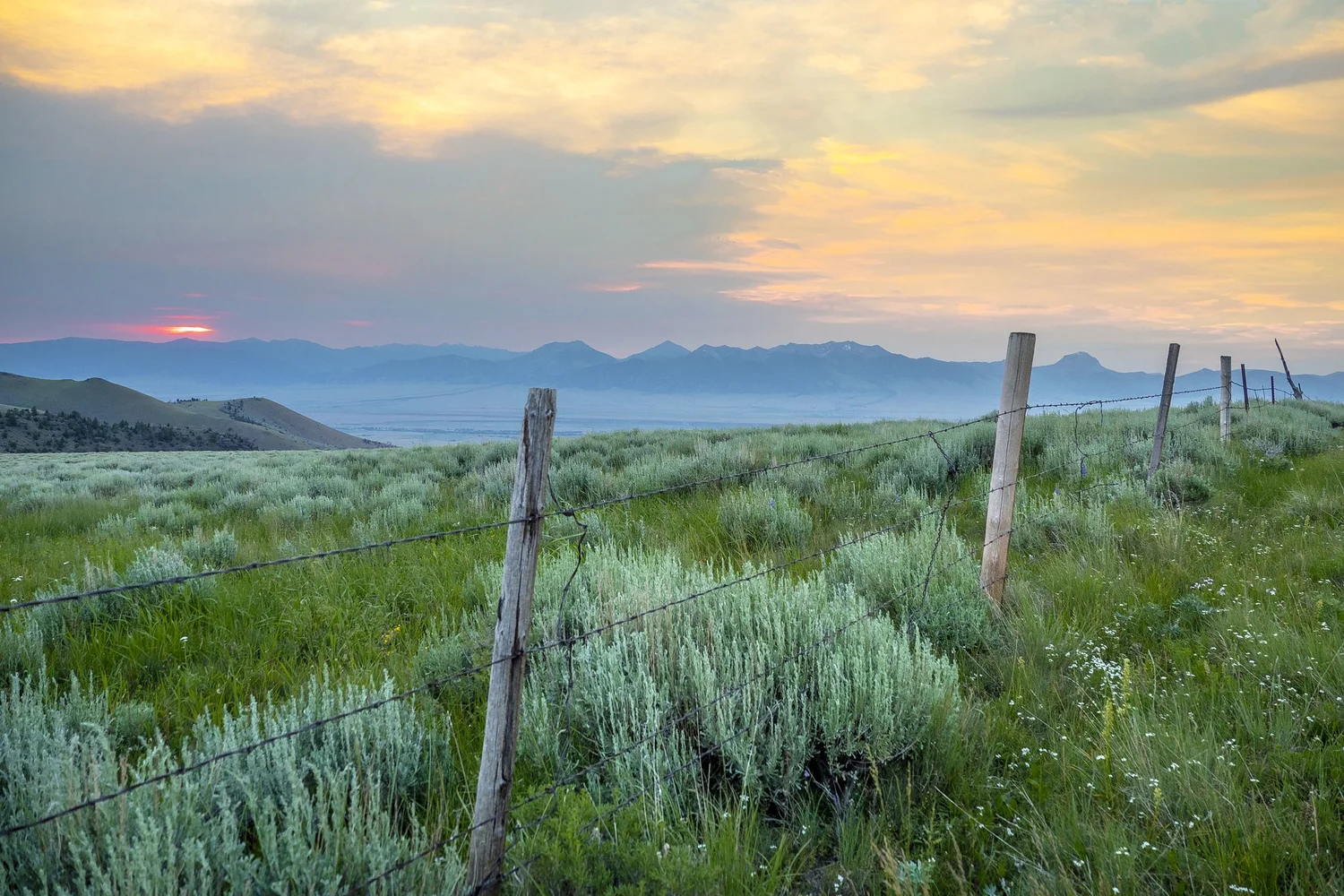 Maintaining Open Landscapes — Greater Yellowstone Coalition