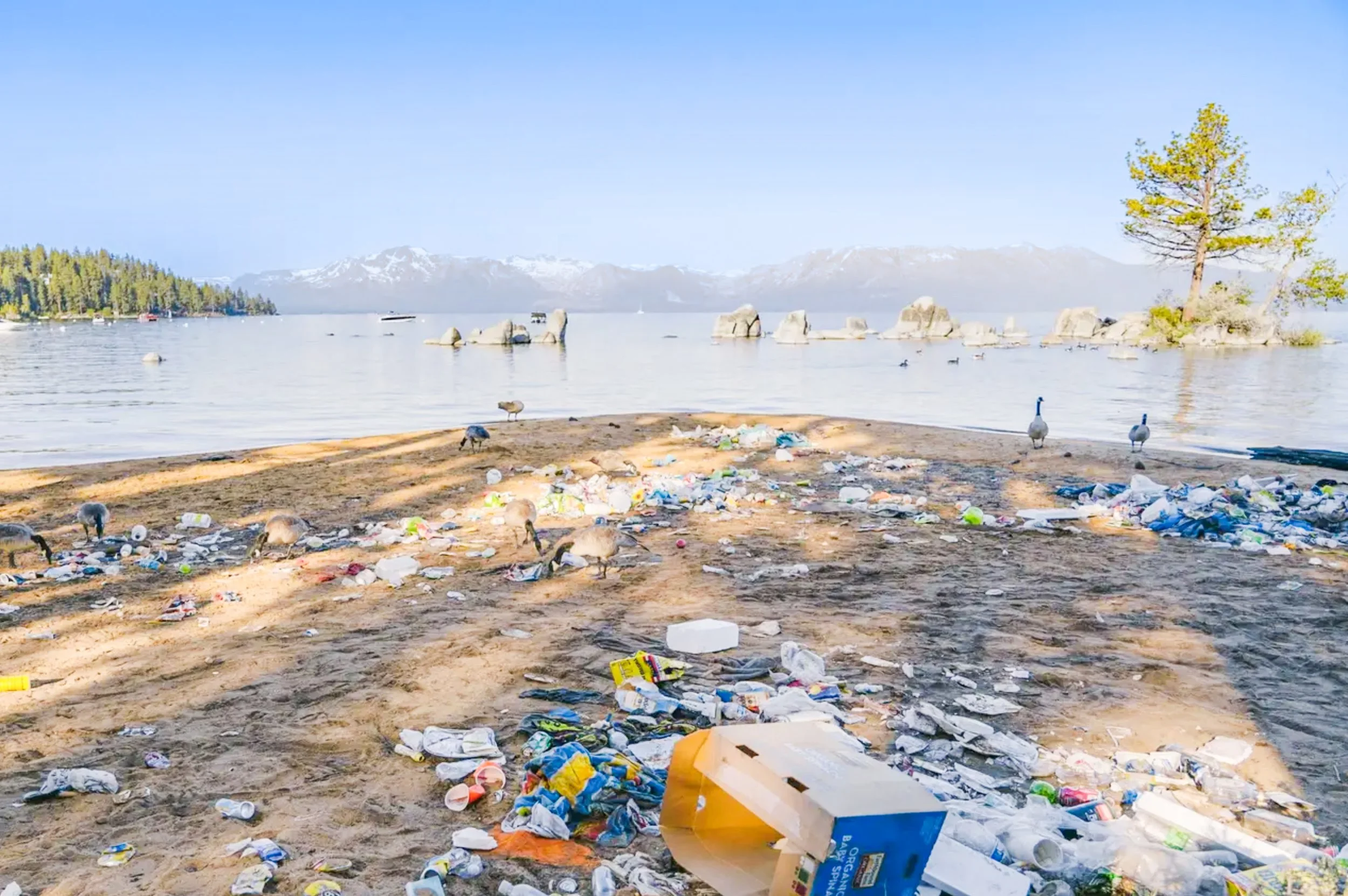 ECO-CLEAN Solutions | Innovative Beach Cleaning & Sustainable Tourism ...