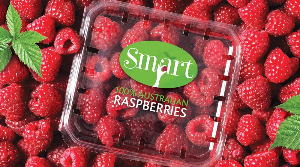 Smart Berries Branding — AKA Brand Design
