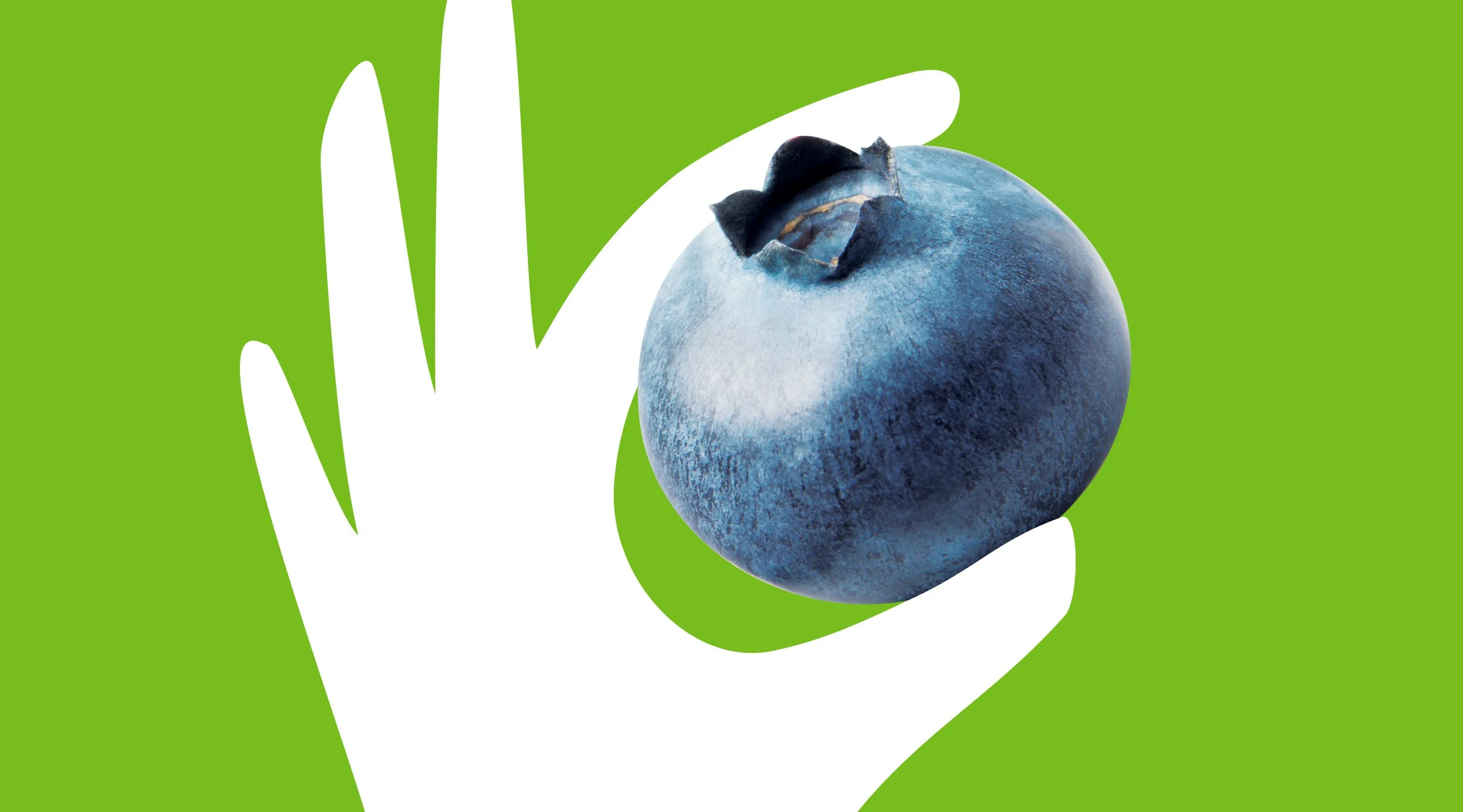 Smart Berries Branding — AKA Brand Design