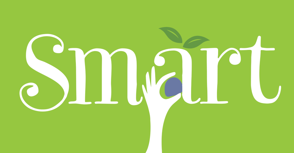 Smart Berries Branding — AKA Brand Design