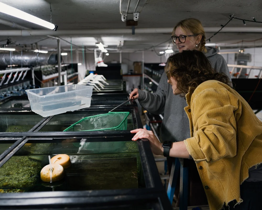 Volunteer — Conservation Fisheries