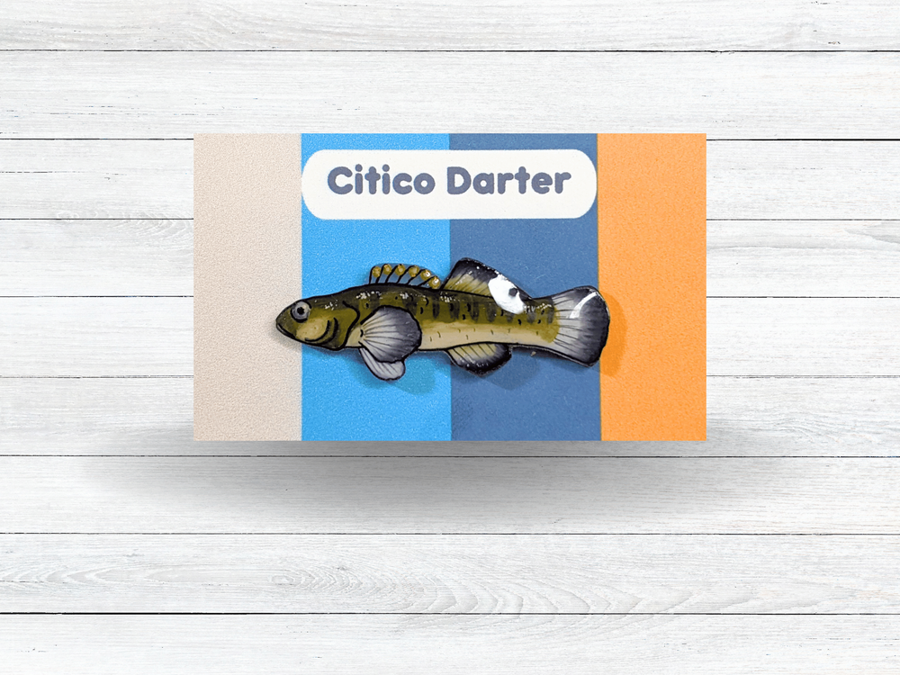 Shop — Conservation Fisheries