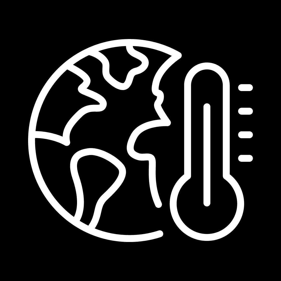 Boulder Darter — Conservation Fisheries