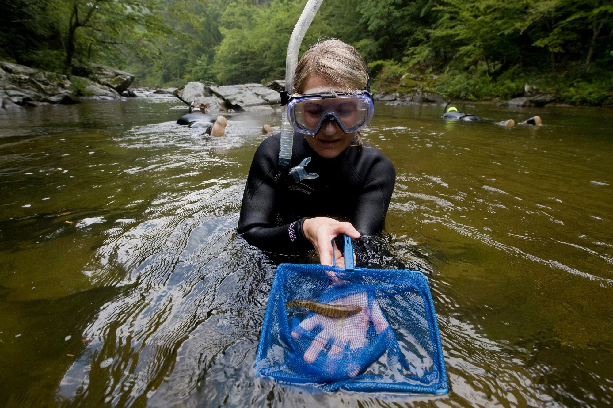 Conservation Fisheries