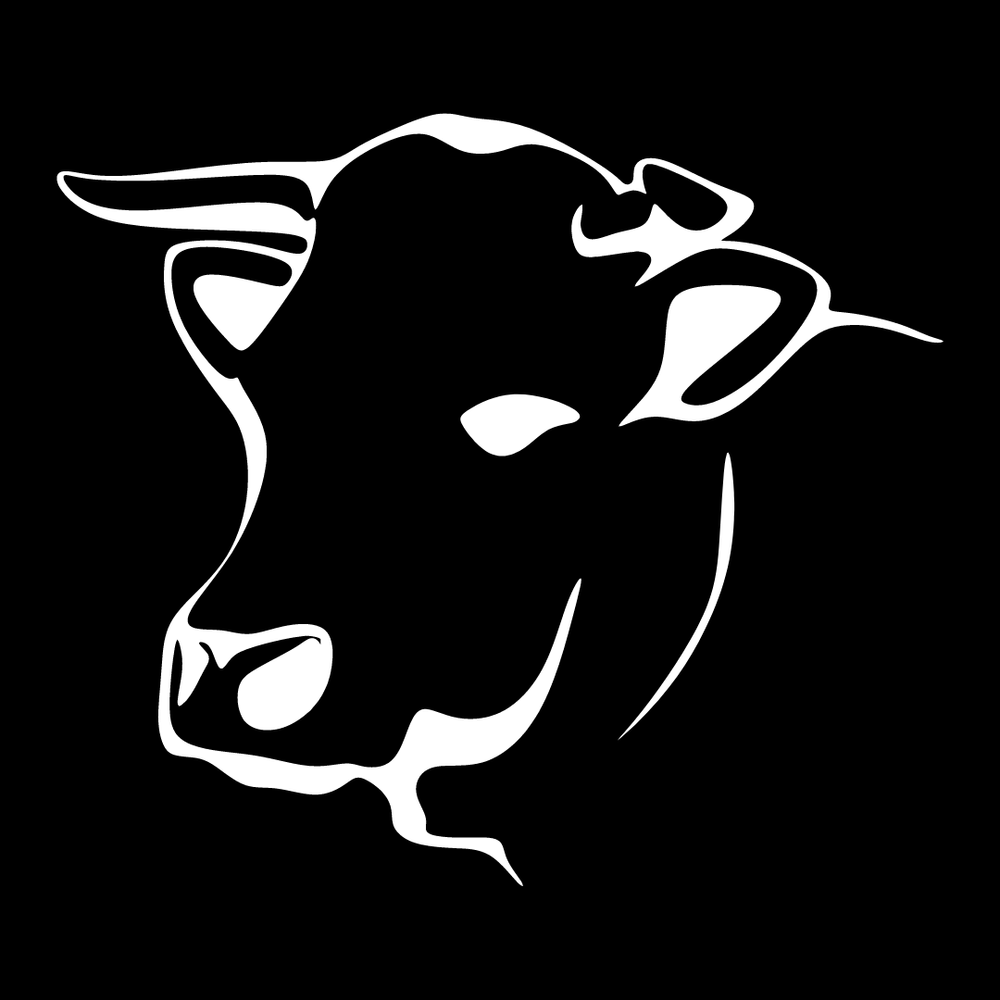 Boulder Darter — Conservation Fisheries