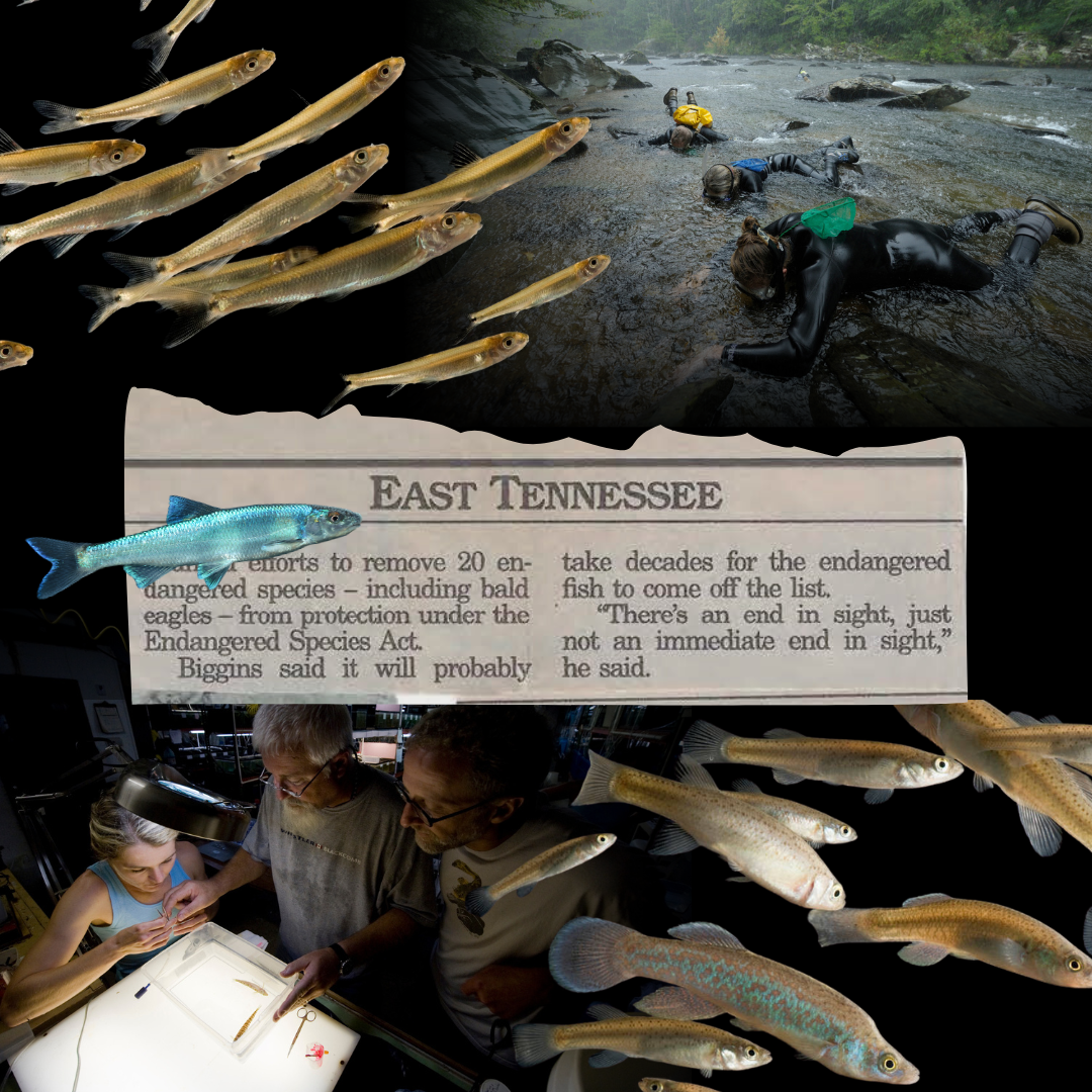 Our History — Conservation Fisheries