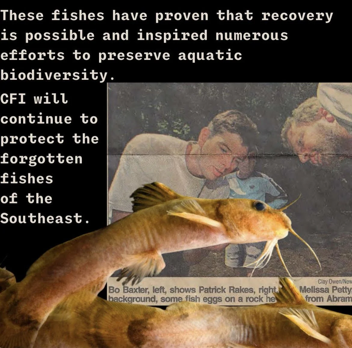 Our History — Conservation Fisheries