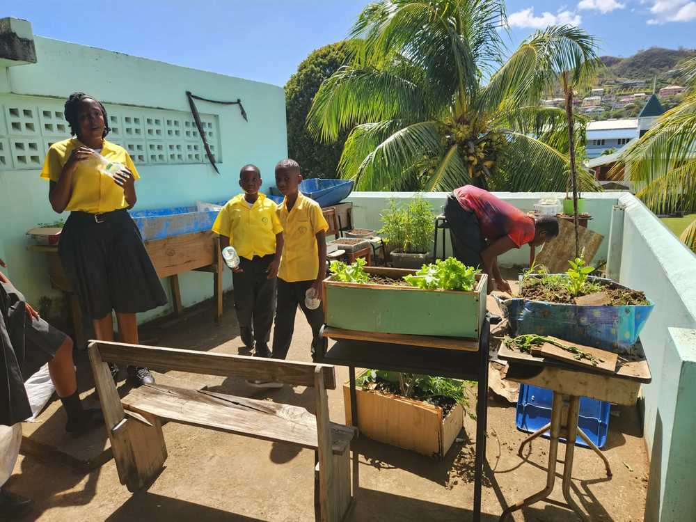 HOPE FOR LIFE FOUNDATION NY INC