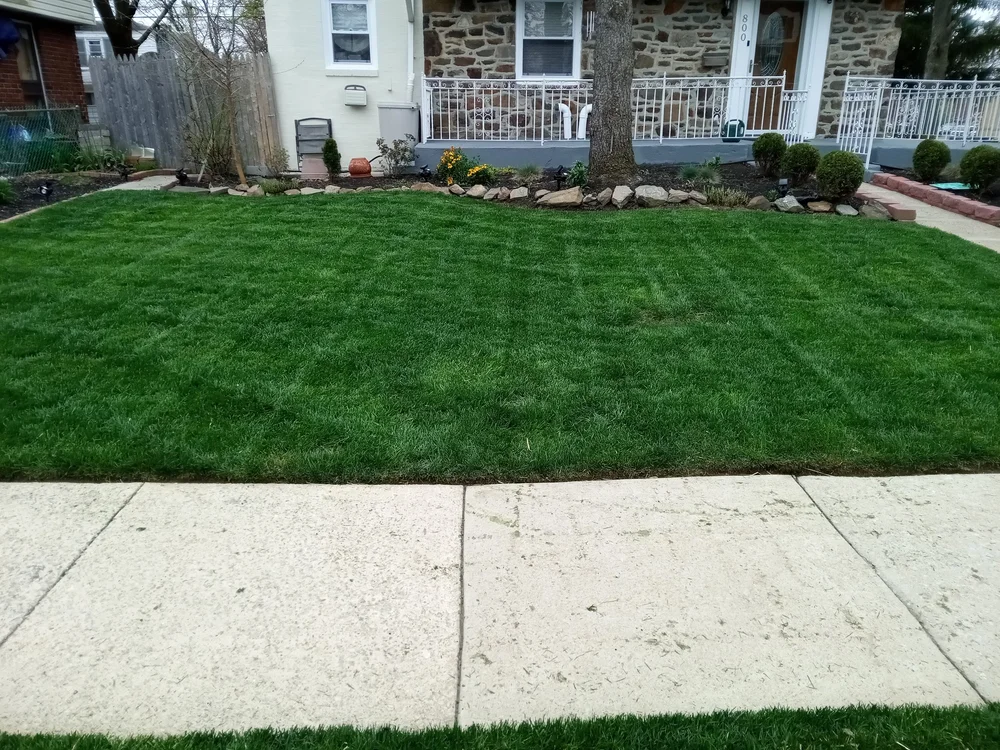 The Lawn Guru