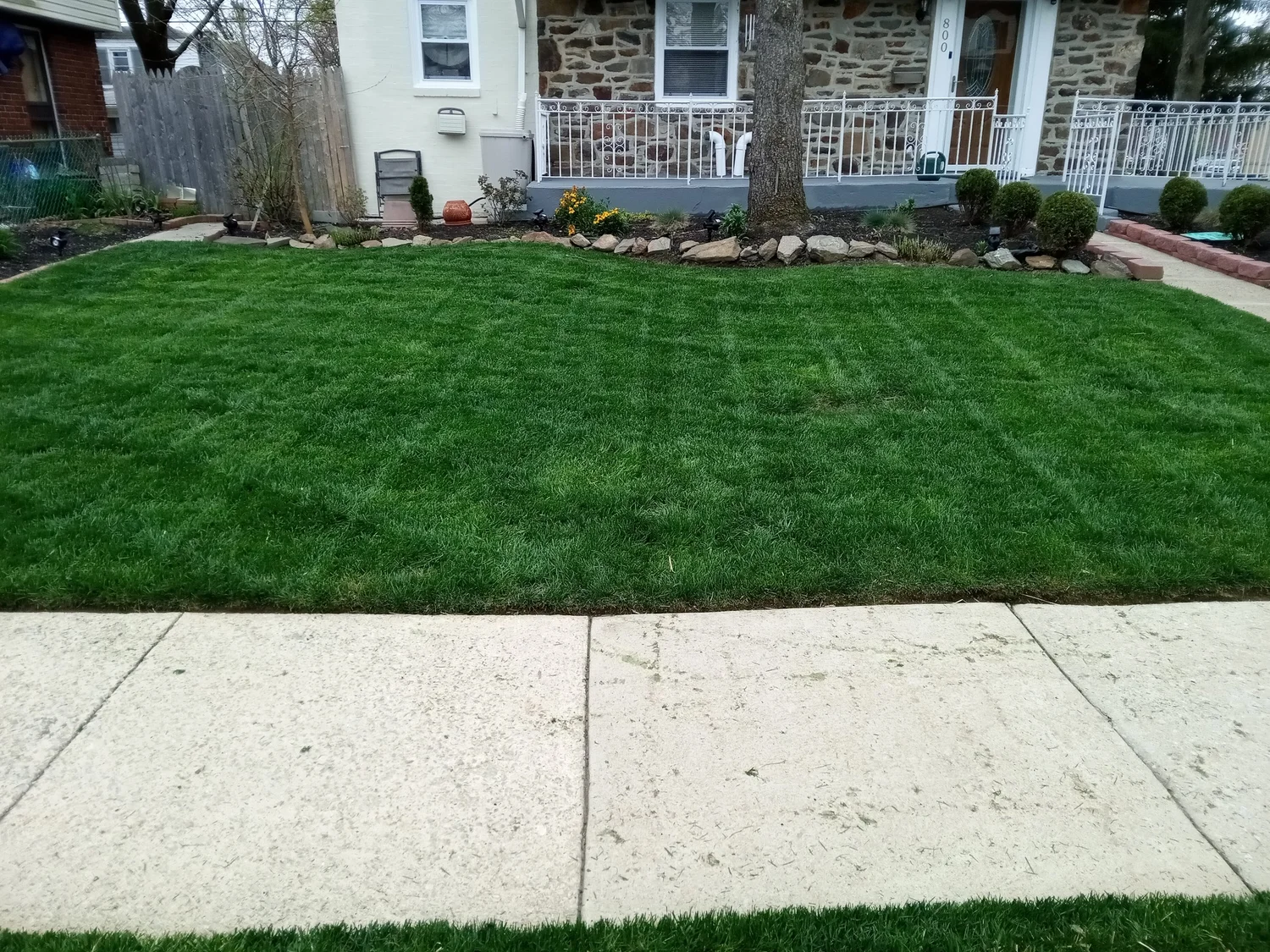 The Lawn Guru