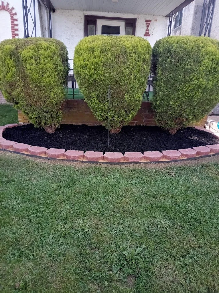 The Lawn Guru