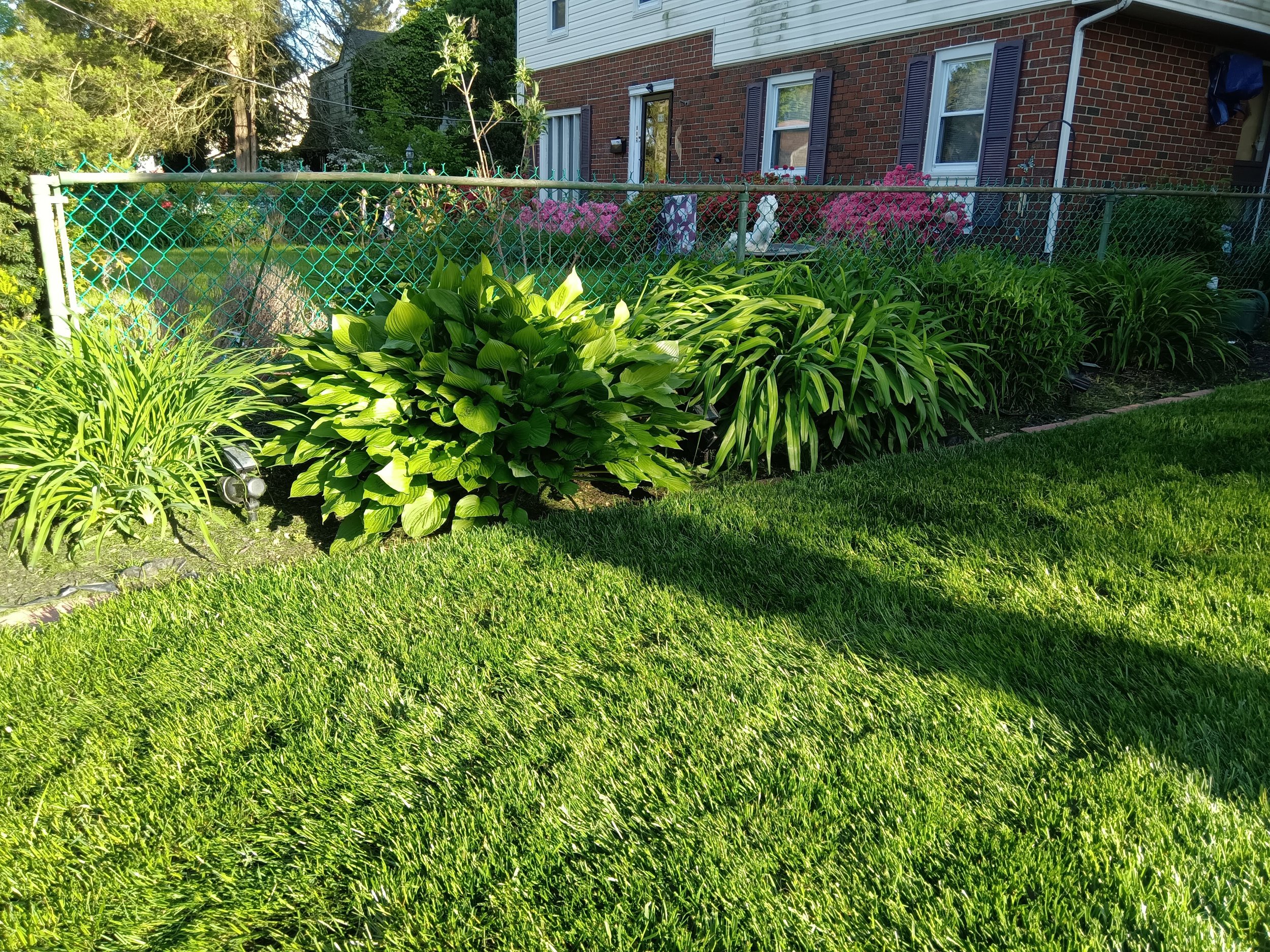 The Lawn Guru