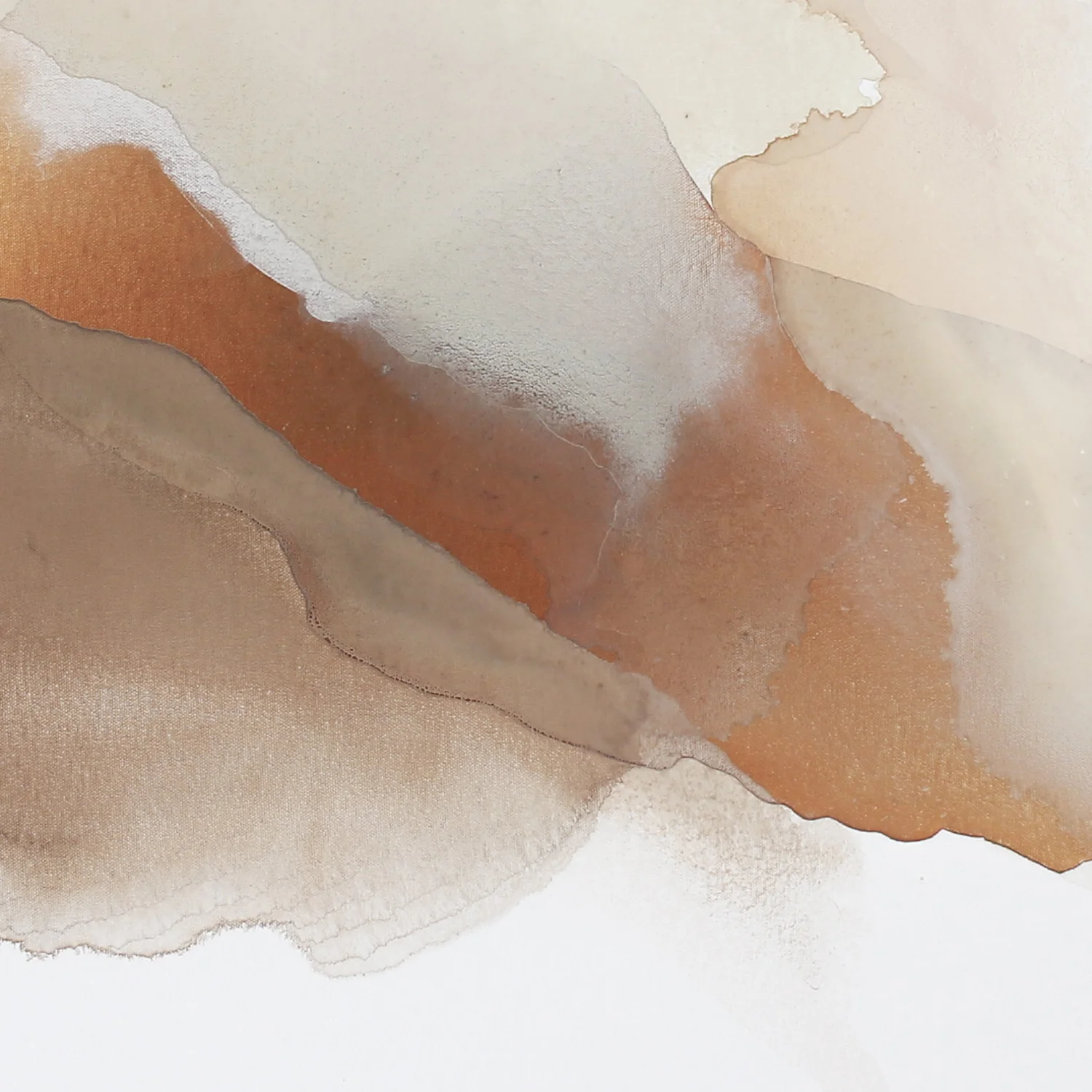 Rebecca King Art