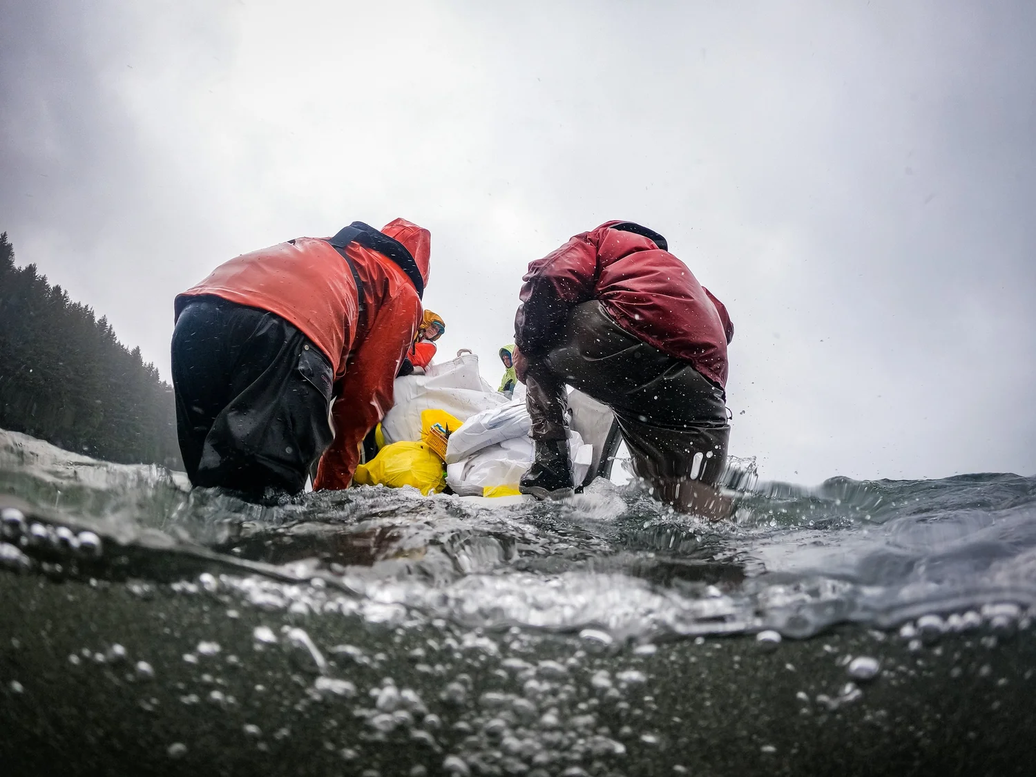 Collection — Ocean Plastics Recovery Project
