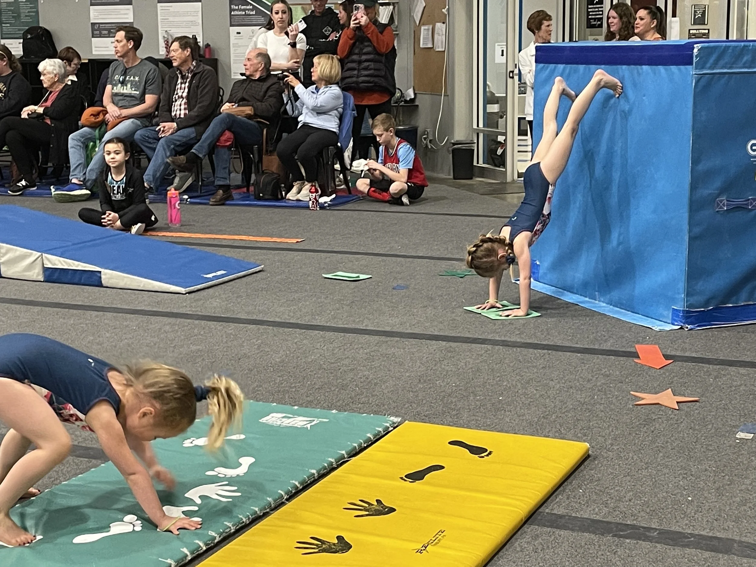 Preschool Gymnastics — Peak Athletics