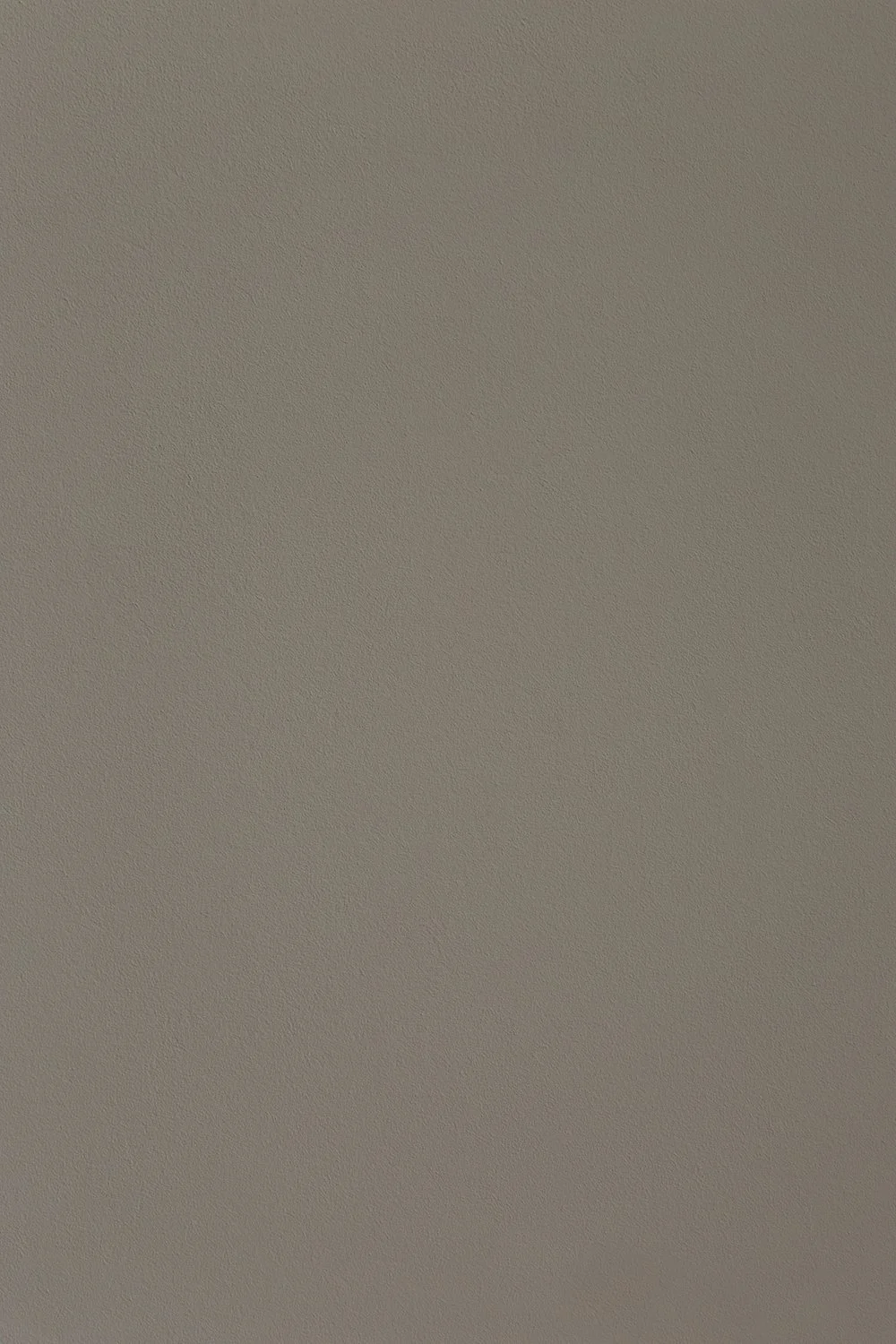 Half Mouse Grey Natural Paint — Atelier Ellis