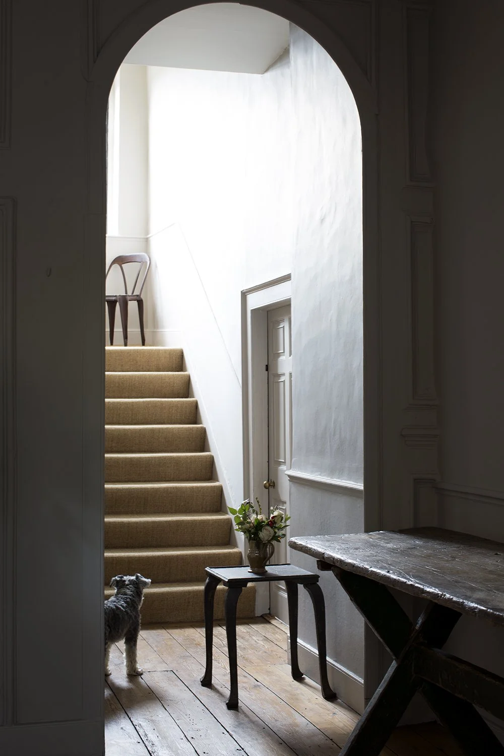 Bright Star Natural Paint — Atelier Ellis