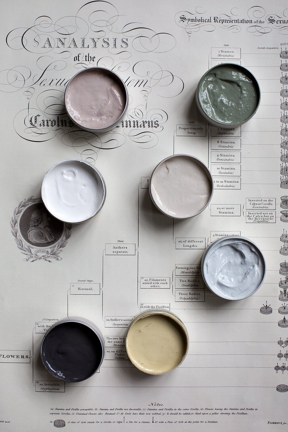 Paint Store | All Natural Paints, Primers & Finishes — Atelier Ellis