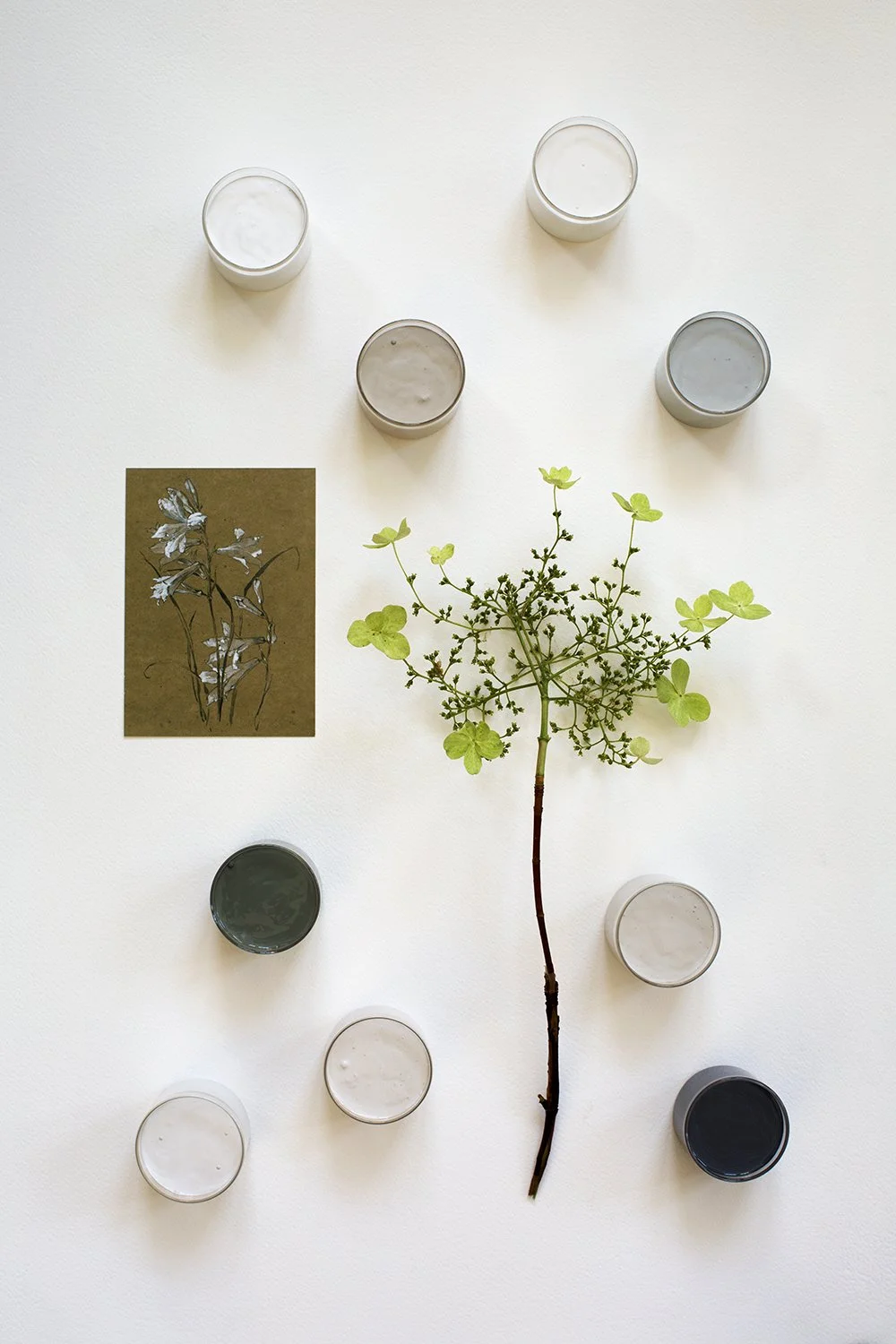Sample Colour Box Natural Paint Samples — Atelier Ellis