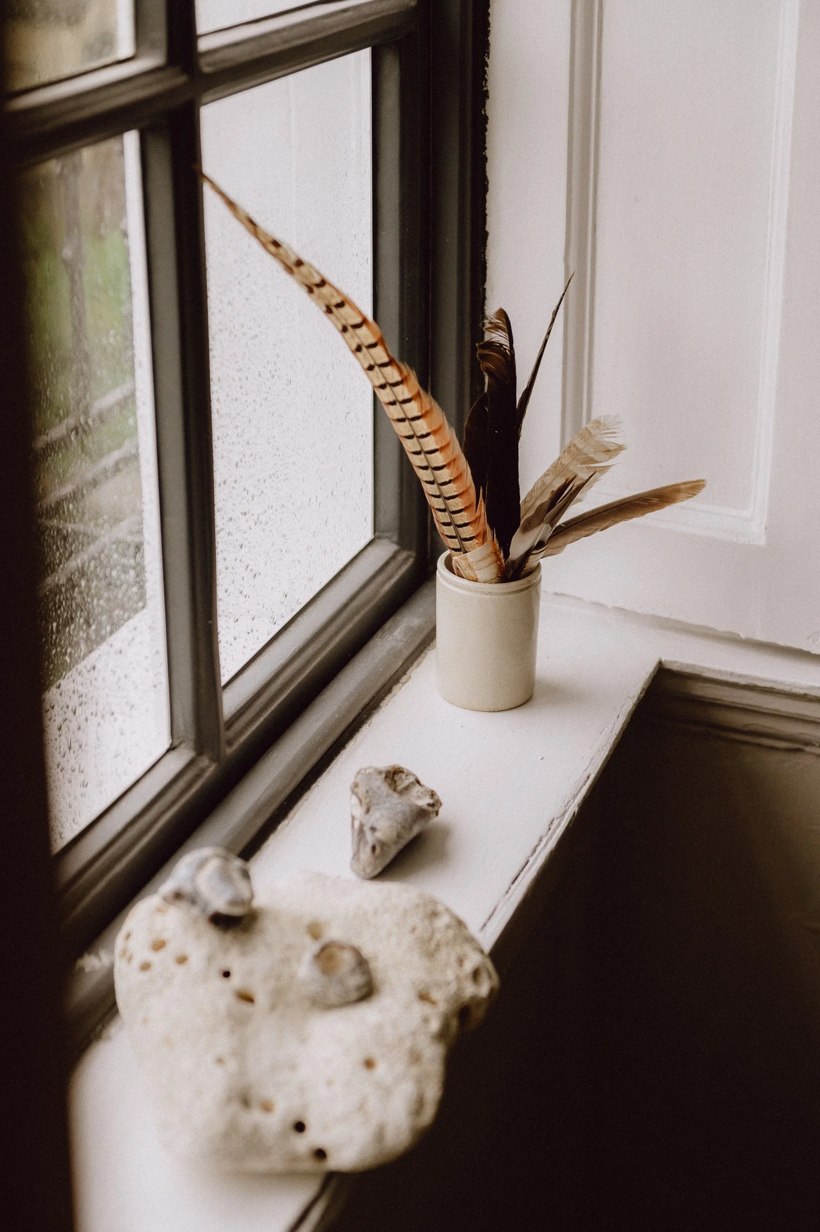Plume Natural Paint — Atelier Ellis