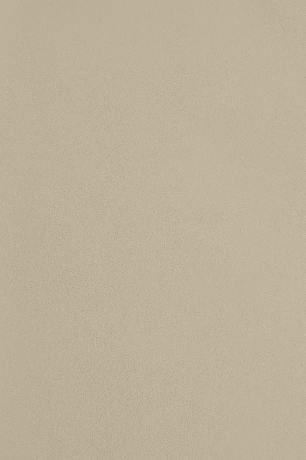 Stony Plaster Natural Paint — Atelier Ellis