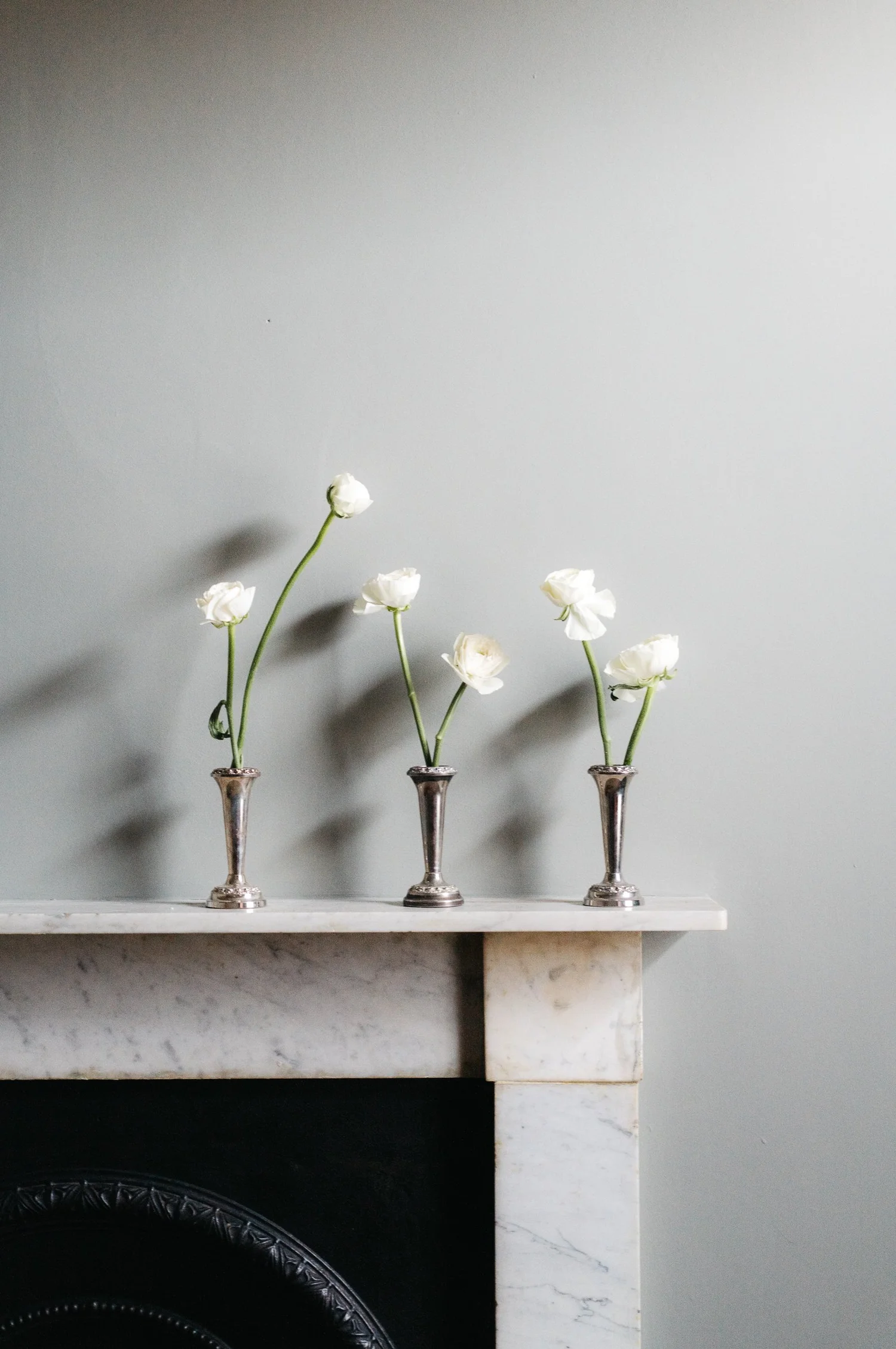 Pollen Natural Paint — Atelier Ellis