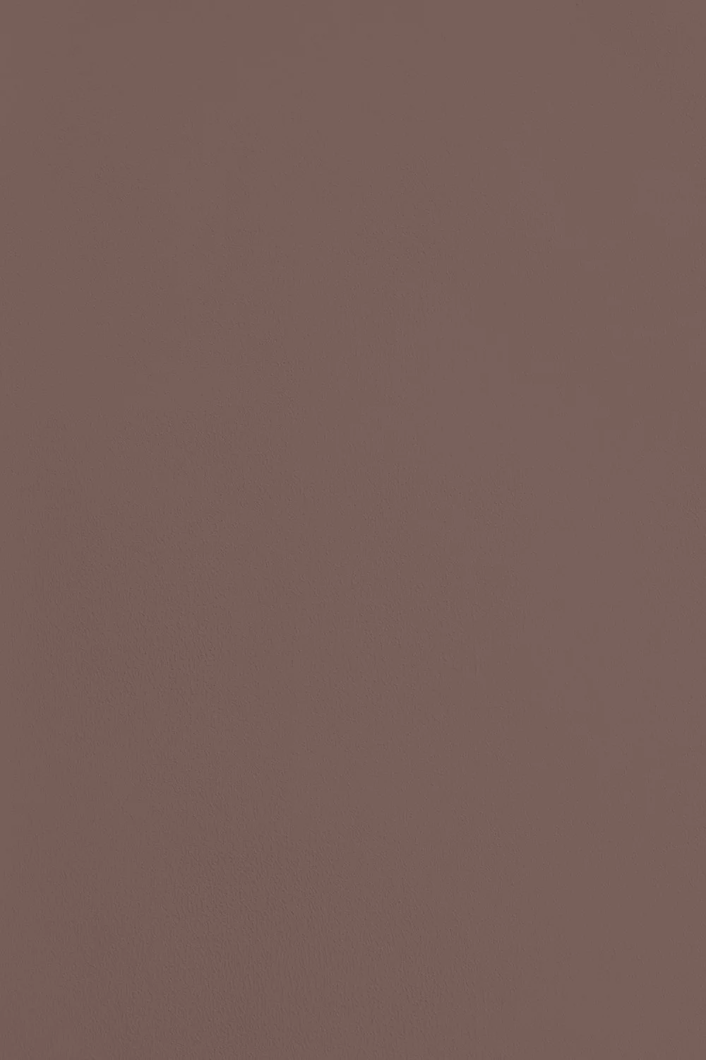 Warm Mud Brown — Natural Brown Emulsion Paint — Atelier Ellis