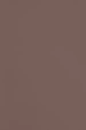 Warm Mud Brown — Natural Brown Emulsion Paint — Atelier Ellis