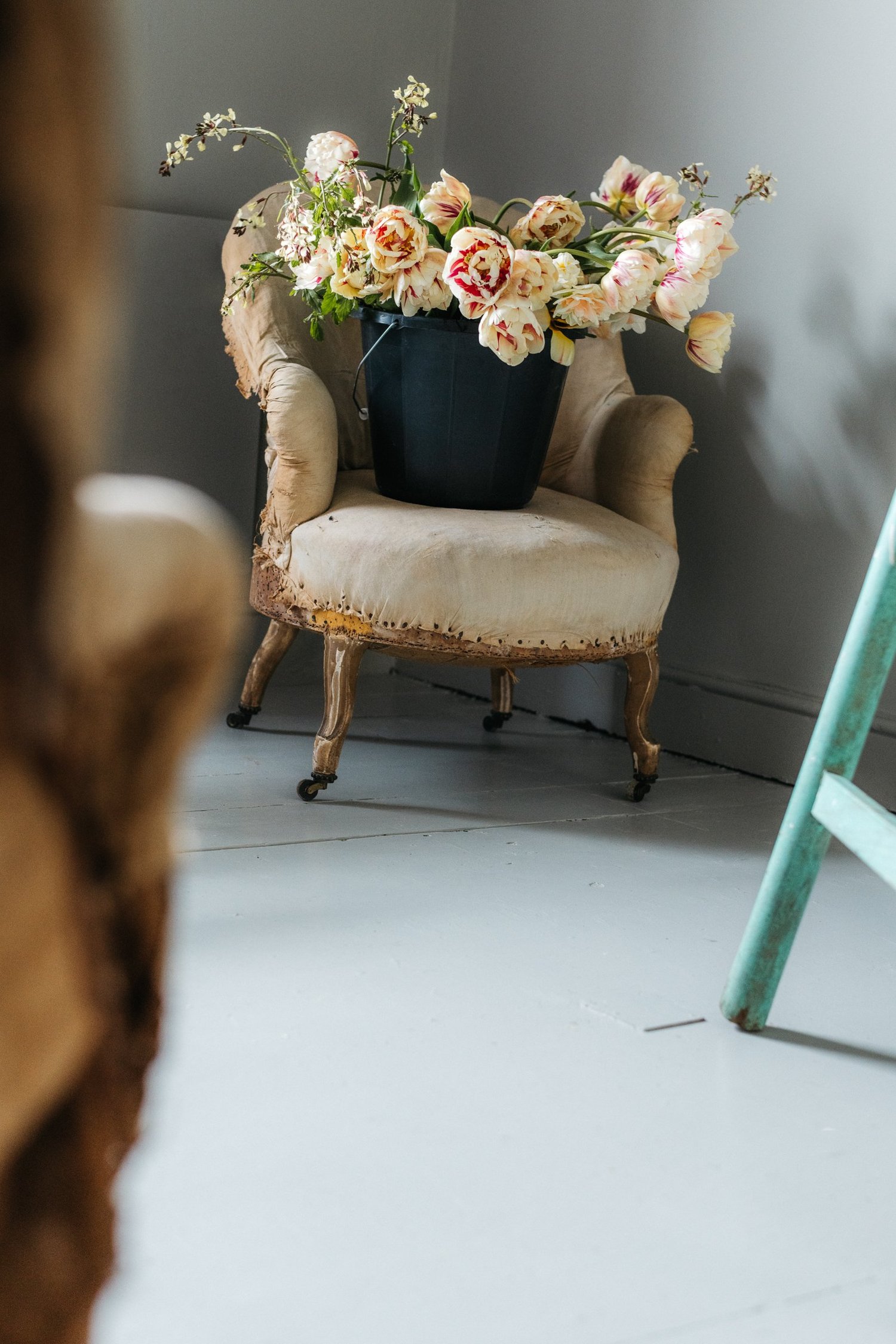 Plume Natural Paint — Atelier Ellis