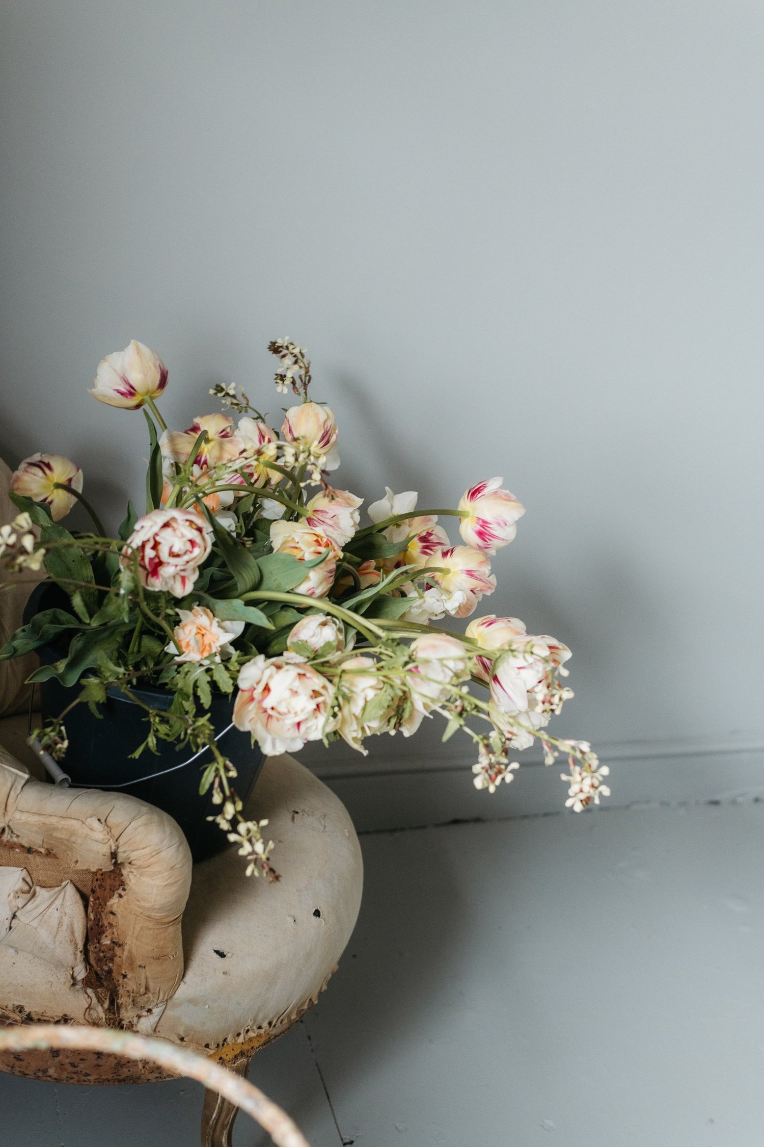 Plume Natural Paint — Atelier Ellis
