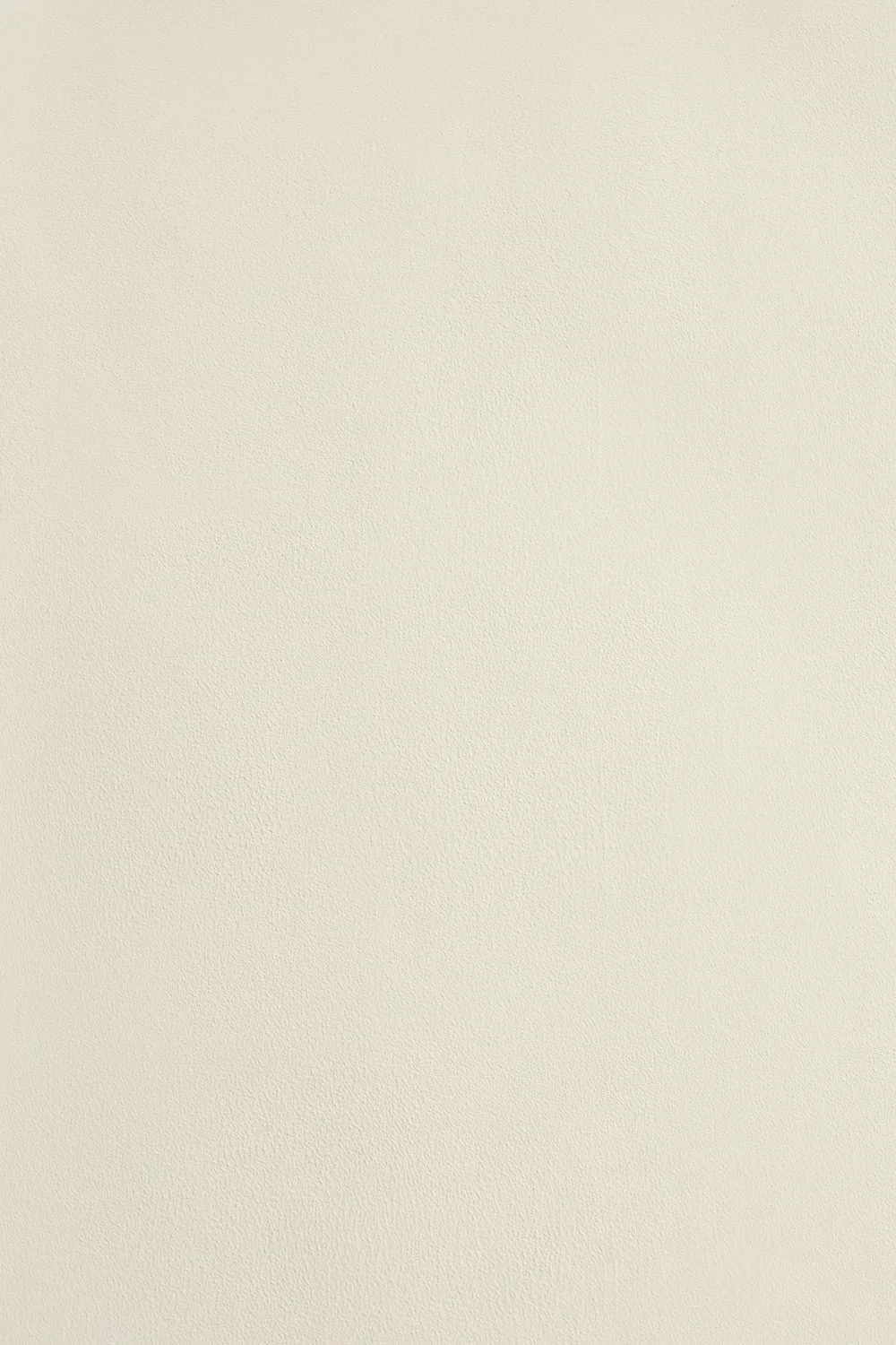 Stony Plaster — Plaster Coloured Natural Paint — Atelier Ellis