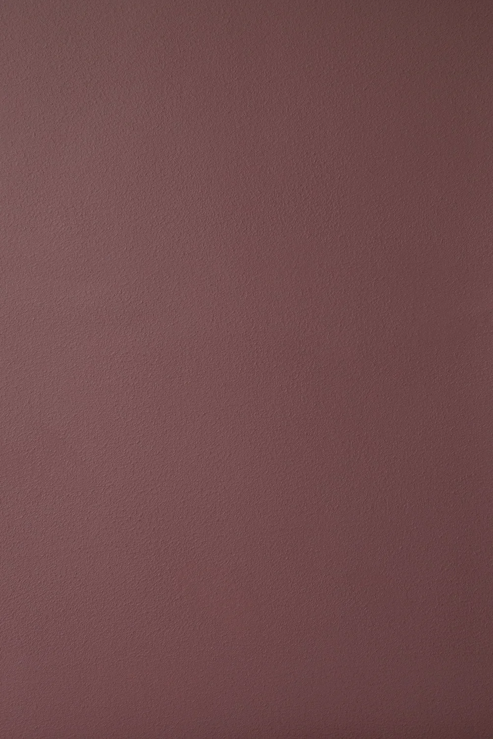 Axia Natural Paint — Atelier Ellis