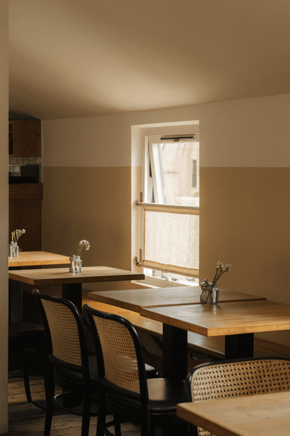 Bright Star Natural Paint — Atelier Ellis