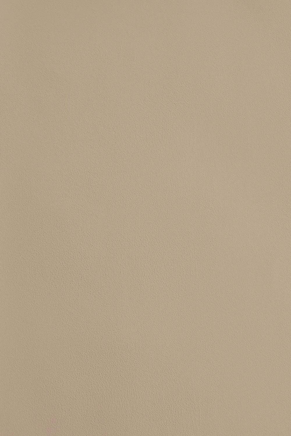 Axia Natural Paint — Atelier Ellis