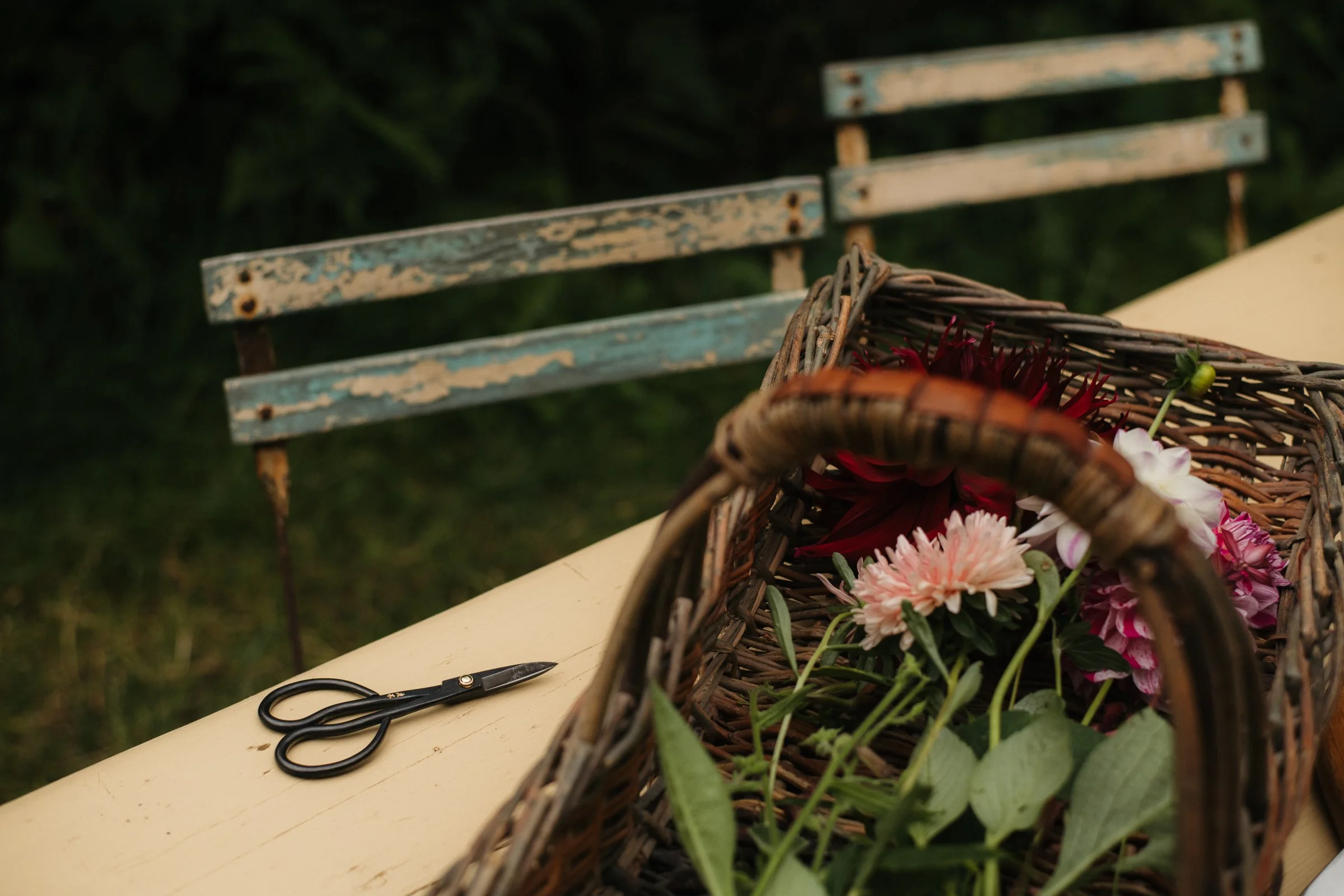 Maps of Colour — Atelier Ellis