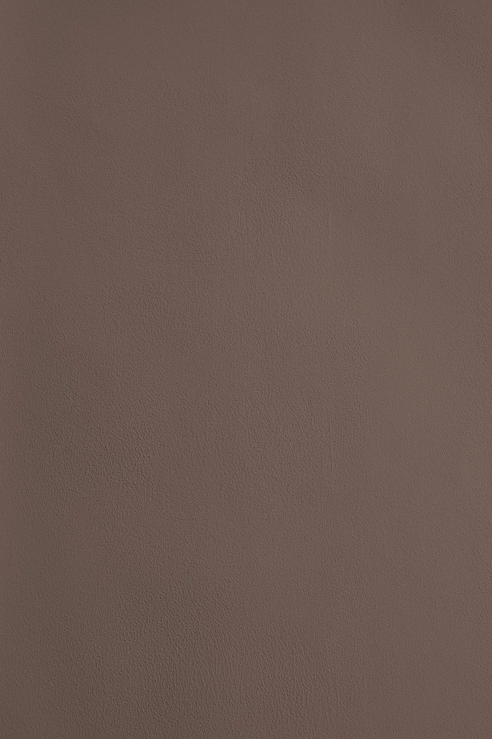 Lark Natural Paint — Atelier Ellis
